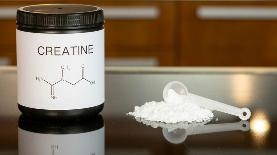 The Ultimate Scientific Guide to Creatine – Fathom Nutrition